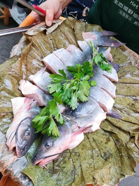 清汤江团鱼怎么做_江团鱼炖汤技巧-第2张图片-山城妙识 清汤江团鱼怎么做_江团鱼炖汤技巧-第2张图片-山城妙识