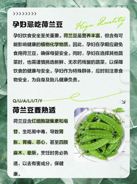荷兰豆不能和什么一起吃_荷兰豆禁忌有哪些-第2张图片-山城妙识 荷兰豆不能和什么一起吃_荷兰豆禁忌有哪些-第2张图片-山城妙识