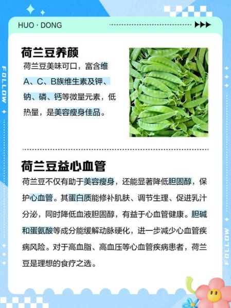 荷兰豆不能和什么一起吃_荷兰豆禁忌有哪些-第3张图片-山城妙识 荷兰豆不能和什么一起吃_荷兰豆禁忌有哪些-第3张图片-山城妙识