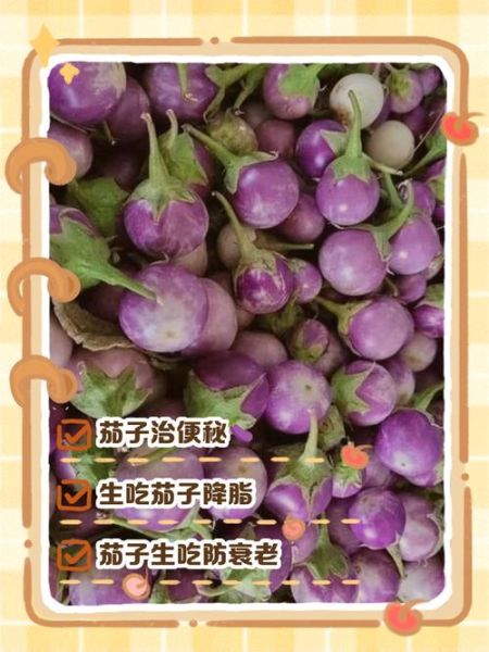 孕妇可以吃茄子吗_孕妇吃茄子的好处和坏处-第2张图片-山城妙识