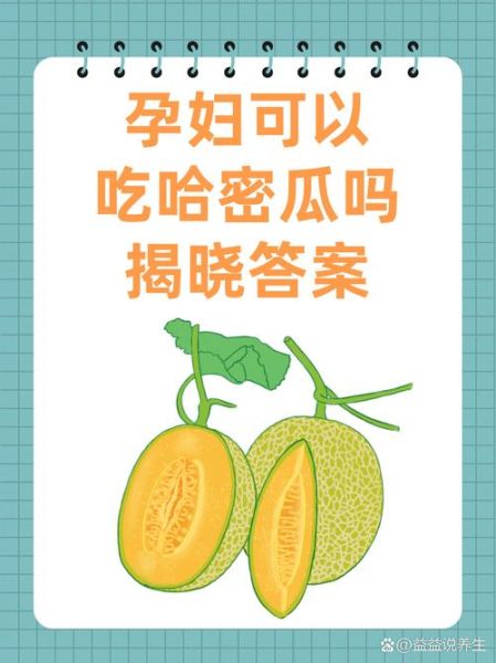 孕妇能吃哈密瓜吗_孕期吃哈密瓜注意事项-第3张图片-山城妙识 孕妇能吃哈密瓜吗_孕期吃哈密瓜注意事项-第3张图片-山城妙识