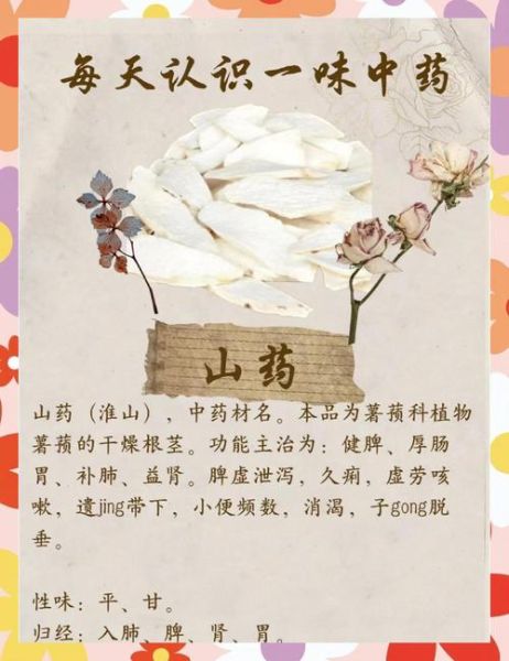 山药的功效与作用_山药怎么吃最好-第2张图片-山城妙识 山药的功效与作用_山药怎么吃最好-第2张图片-山城妙识