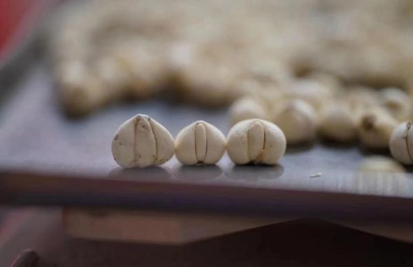 川贝粉怎么吃治咳嗽最好_川贝粉止咳用量一天几次-第1张图片-山城妙识 川贝粉怎么吃治咳嗽最好_川贝粉止咳用量一天几次-第1张图片-山城妙识