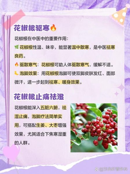 野花椒根的功效与作用_野花椒根怎么使用-第2张图片-山城妙识