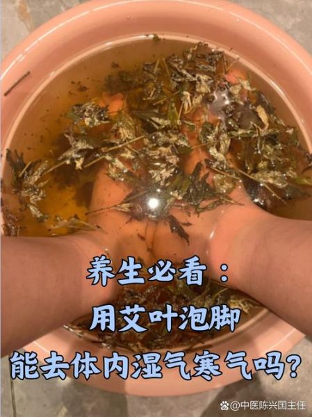 艾叶泡脚治脚麻木吗_艾叶泡脚多久见效-第1张图片-山城妙识 艾叶泡脚治脚麻木吗_艾叶泡脚多久见效-第1张图片-山城妙识