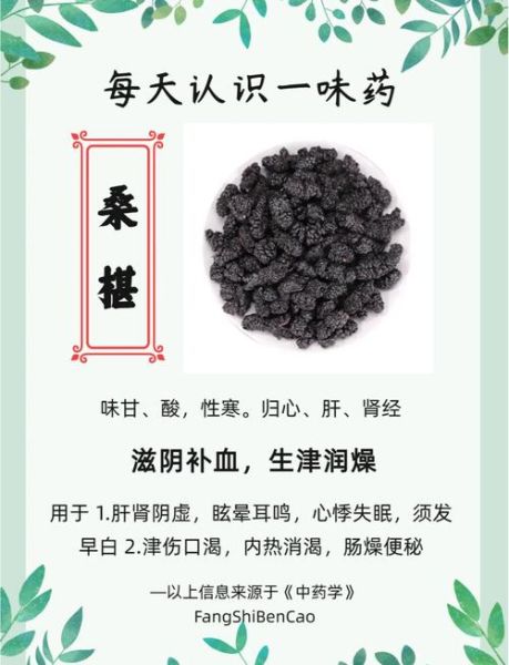 桑椹功效与作用及食用方法_桑椹一天吃多少合适-第1张图片-山城妙识