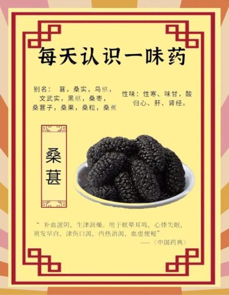 桑椹功效与作用及食用方法_桑椹一天吃多少合适-第2张图片-山城妙识