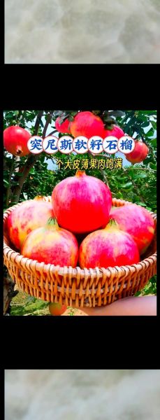 突尼斯软籽石榴的功效与作用_适合什么人吃-第2张图片-山城妙识 突尼斯软籽石榴的功效与作用_适合什么人吃-第2张图片-山城妙识