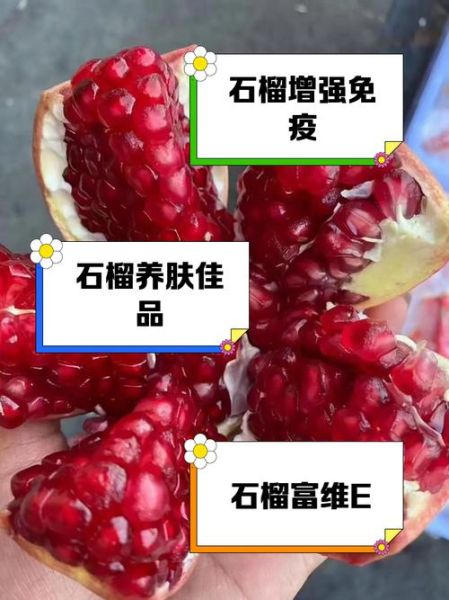 突尼斯软籽石榴的功效与作用_适合什么人吃-第1张图片-山城妙识 突尼斯软籽石榴的功效与作用_适合什么人吃-第1张图片-山城妙识