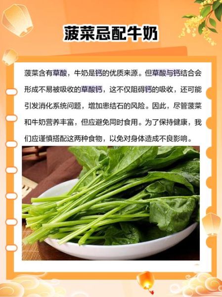 菠菜和什么一起吃最营养_菠菜不能和什么一起吃-第2张图片-山城妙识