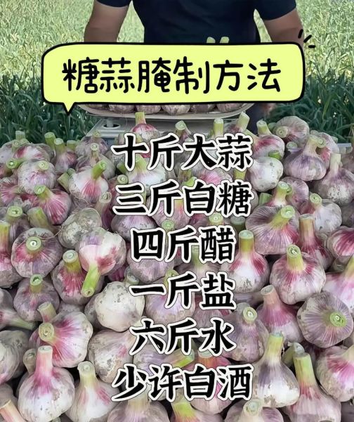 十斤糖醋蒜配方比例_糖醋蒜怎么腌制不辣不苦-第3张图片-山城妙识 十斤糖醋蒜配方比例_糖醋蒜怎么腌制不辣不苦-第3张图片-山城妙识