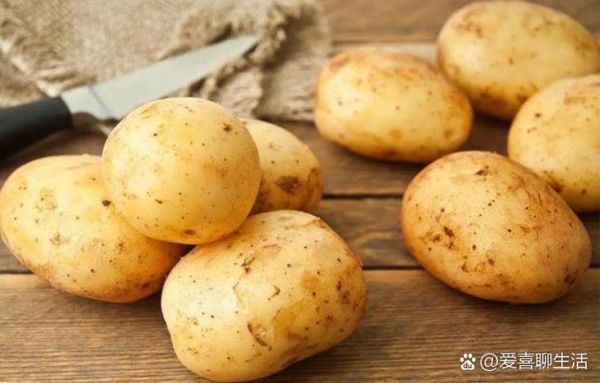 洋芋头图片大全_洋芋和土豆的区别-第1张图片-山城妙识 洋芋头图片大全_洋芋和土豆的区别-第1张图片-山城妙识