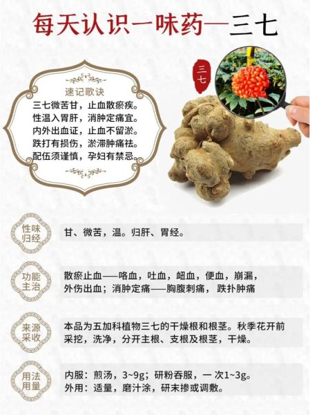 三七的功效与作用_三七主治哪些病-第1张图片-山城妙识 三七的功效与作用_三七主治哪些病-第1张图片-山城妙识