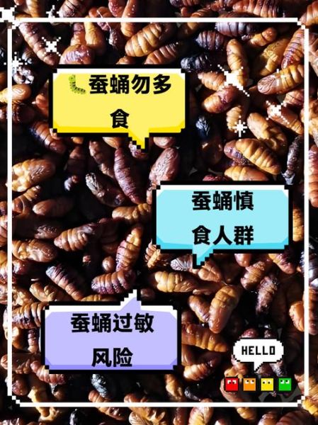 蚕蛹为什么不能天天吃_蚕蛹吃多了有什么危害-第1张图片-山城妙识 蚕蛹为什么不能天天吃_蚕蛹吃多了有什么危害-第1张图片-山城妙识