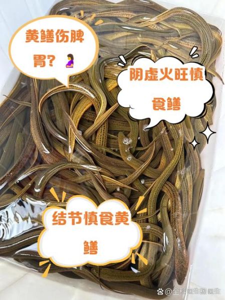 女人吃黄鳝有什么好处和坏处_女性吃黄鳝的利弊-第1张图片-山城妙识