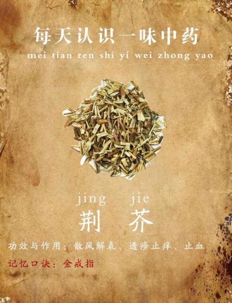 荆芥草的功效与作用_荆芥草能治疗哪些常见病-第2张图片-山城妙识