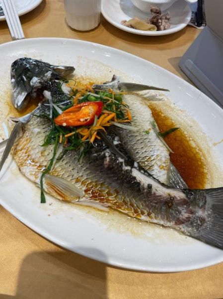 蒸鱼一般蒸几分钟_蒸鱼最佳时间是多少-第2张图片-山城妙识 蒸鱼一般蒸几分钟_蒸鱼最佳时间是多少-第2张图片-山城妙识