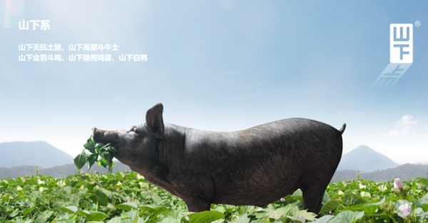 蕃薯藤生鲜超市怎么样_值得去吗-第1张图片-山城妙识