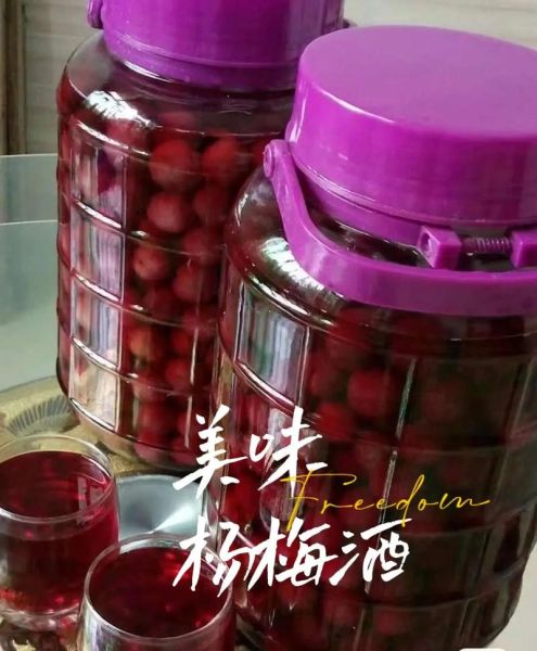 自制杨梅酒的功效与作用_杨梅酒怎么泡才养生-第1张图片-山城妙识 自制杨梅酒的功效与作用_杨梅酒怎么泡才养生-第1张图片-山城妙识