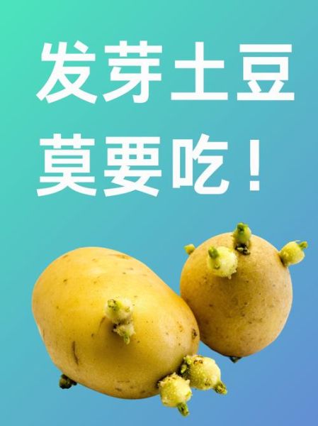 土豆下载安装_土豆视频怎么下载到手机-第1张图片-山城妙识