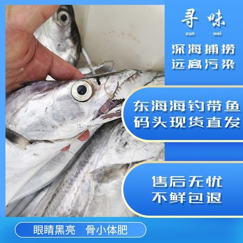 活带鱼多少钱一斤_活带鱼价格为什么波动大-第3张图片-山城妙识