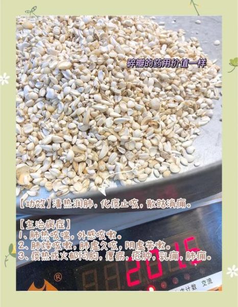 川贝和川贝母一样吗_川贝与川贝母区别-第2张图片-山城妙识