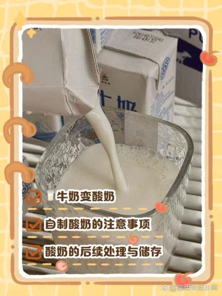 酸奶发酵剂怎么选_自制酸奶发酵剂工艺流程-第3张图片-山城妙识 酸奶发酵剂怎么选_自制酸奶发酵剂工艺流程-第3张图片-山城妙识