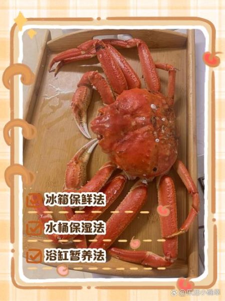 活的河蟹怎么保存_河蟹能活几天-第3张图片-山城妙识