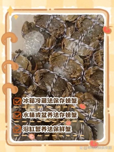 活的河蟹怎么保存_河蟹能活几天-第1张图片-山城妙识