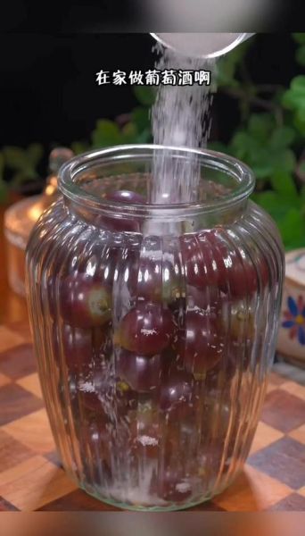 泡葡萄酒的正确方法_自酿葡萄酒比例是多少-第2张图片-山城妙识