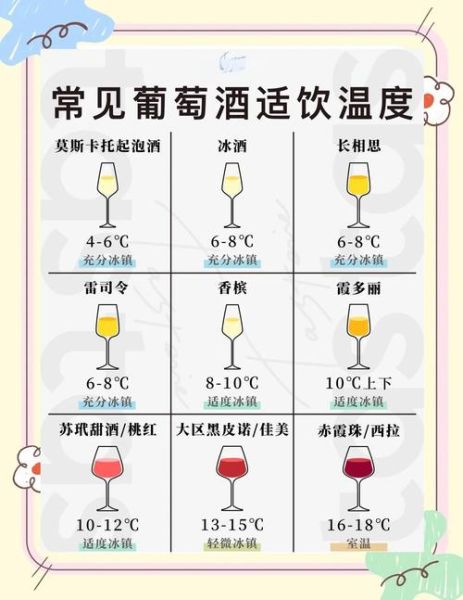 泡葡萄酒的正确方法_自酿葡萄酒比例是多少-第3张图片-山城妙识