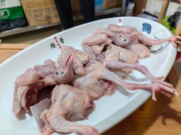 蒸鸽子怎么做好吃_蒸鸽子要多久才嫩-第1张图片-山城妙识 蒸鸽子怎么做好吃_蒸鸽子要多久才嫩-第1张图片-山城妙识