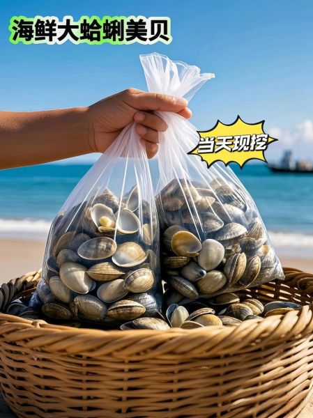 大贝壳怎么做好吃_大贝壳做法视频教程-第3张图片-山城妙识 大贝壳怎么做好吃_大贝壳做法视频教程-第3张图片-山城妙识