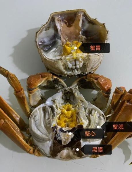 螃蟹哪里能吃哪里不能吃_螃蟹哪些部位不能吃-第1张图片-山城妙识 螃蟹哪里能吃哪里不能吃_螃蟹哪些部位不能吃-第1张图片-山城妙识