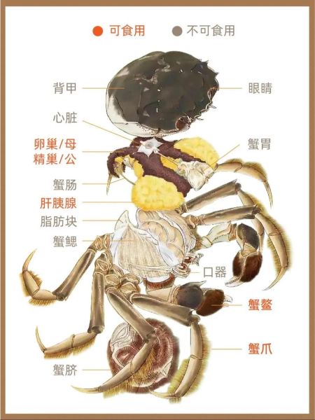 螃蟹哪里能吃哪里不能吃_螃蟹哪些部位不能吃-第2张图片-山城妙识 螃蟹哪里能吃哪里不能吃_螃蟹哪些部位不能吃-第2张图片-山城妙识