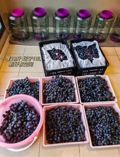 自酿葡萄酒的做法_家庭自酿葡萄酒详细步骤-第2张图片-山城妙识