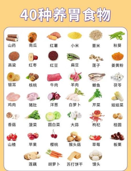 吃什么最养胃_养胃食物有哪些-第1张图片-山城妙识 吃什么最养胃_养胃食物有哪些-第1张图片-山城妙识