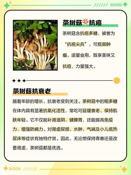 茶树菇的功效与作用_茶树菇怎么吃最营养-第1张图片-山城妙识 茶树菇的功效与作用_茶树菇怎么吃最营养-第1张图片-山城妙识