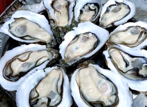 男人晚上吃生蚝有什么效果_生蚝对男性性功能真的有用吗-第1张图片-山城妙识 男人晚上吃生蚝有什么效果_生蚝对男性性功能真的有用吗-第1张图片-山城妙识