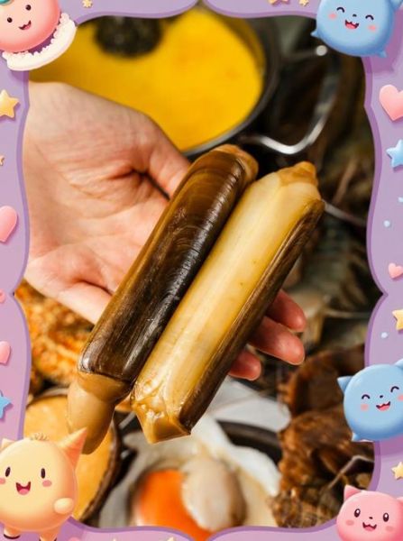 竹蛏怎么清洗_竹蛏怎么做好吃-第1张图片-山城妙识 竹蛏怎么清洗_竹蛏怎么做好吃-第1张图片-山城妙识