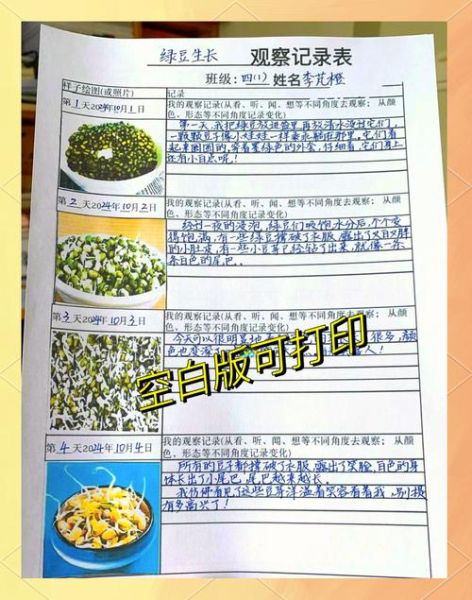 绿豆发芽需要几天_绿豆发芽记录表格怎么看-第1张图片-山城妙识 绿豆发芽需要几天_绿豆发芽记录表格怎么看-第1张图片-山城妙识