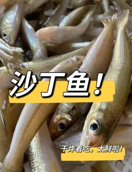 沙丁鱼怎么做好吃_沙丁鱼做法视频教程-第1张图片-山城妙识