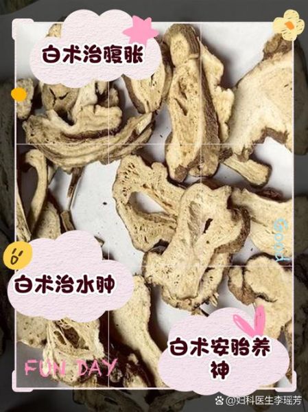 白术的功效与作用是什么_白术适合哪些人群-第2张图片-山城妙识