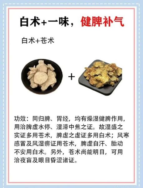 白术的功效与作用是什么_白术适合哪些人群-第1张图片-山城妙识