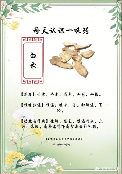 白术的功效与作用是什么_白术适合哪些人群-第3张图片-山城妙识