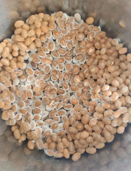 不用纳豆菌怎么做纳豆_家常版零失败做法-第2张图片-山城妙识 不用纳豆菌怎么做纳豆_家常版零失败做法-第2张图片-山城妙识