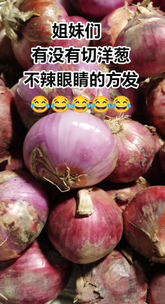 洋葱怎么切丝_洋葱切丝不辣眼的技巧-第3张图片-山城妙识 洋葱怎么切丝_洋葱切丝不辣眼的技巧-第3张图片-山城妙识