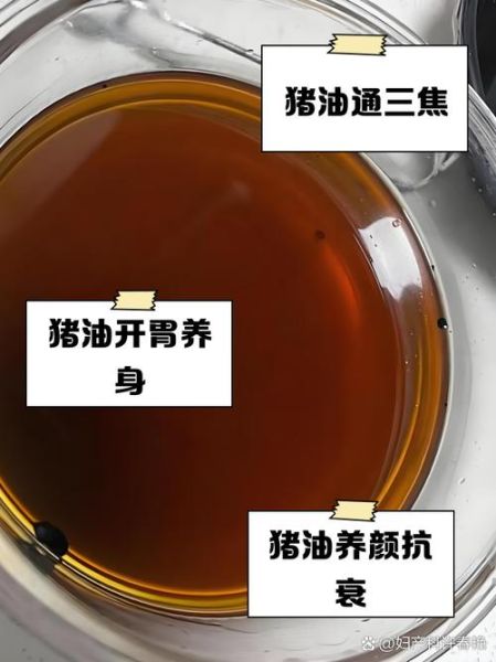 吃猪油的好处和功效_猪油真的健康吗-第1张图片-山城妙识 吃猪油的好处和功效_猪油真的健康吗-第1张图片-山城妙识