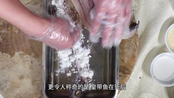 勒氏皇带鱼为什么恐怖_深海巨物传说真相-第1张图片-山城妙识 勒氏皇带鱼为什么恐怖_深海巨物传说真相-第1张图片-山城妙识