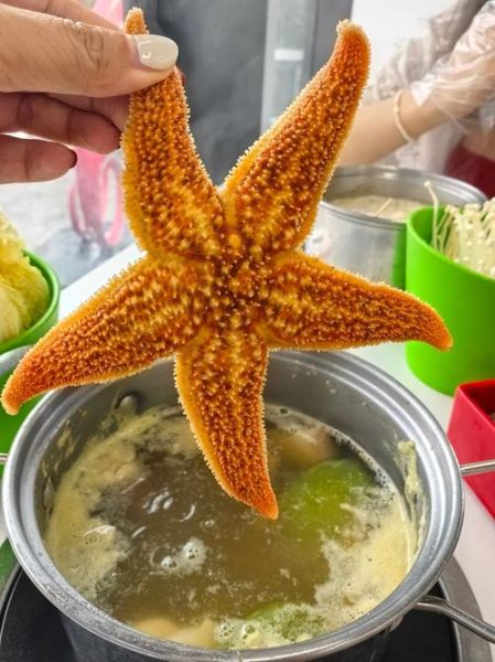 海星煮多久可以吃_海星煮多长时间能熟-第2张图片-山城妙识 海星煮多久可以吃_海星煮多长时间能熟-第2张图片-山城妙识